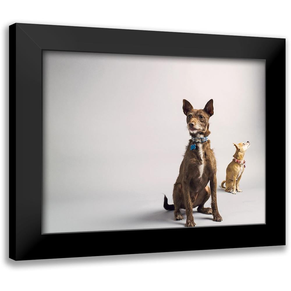 Sabo, Susan 14x12 Black Modern Framed Museum Art Print Titled - Nope ...