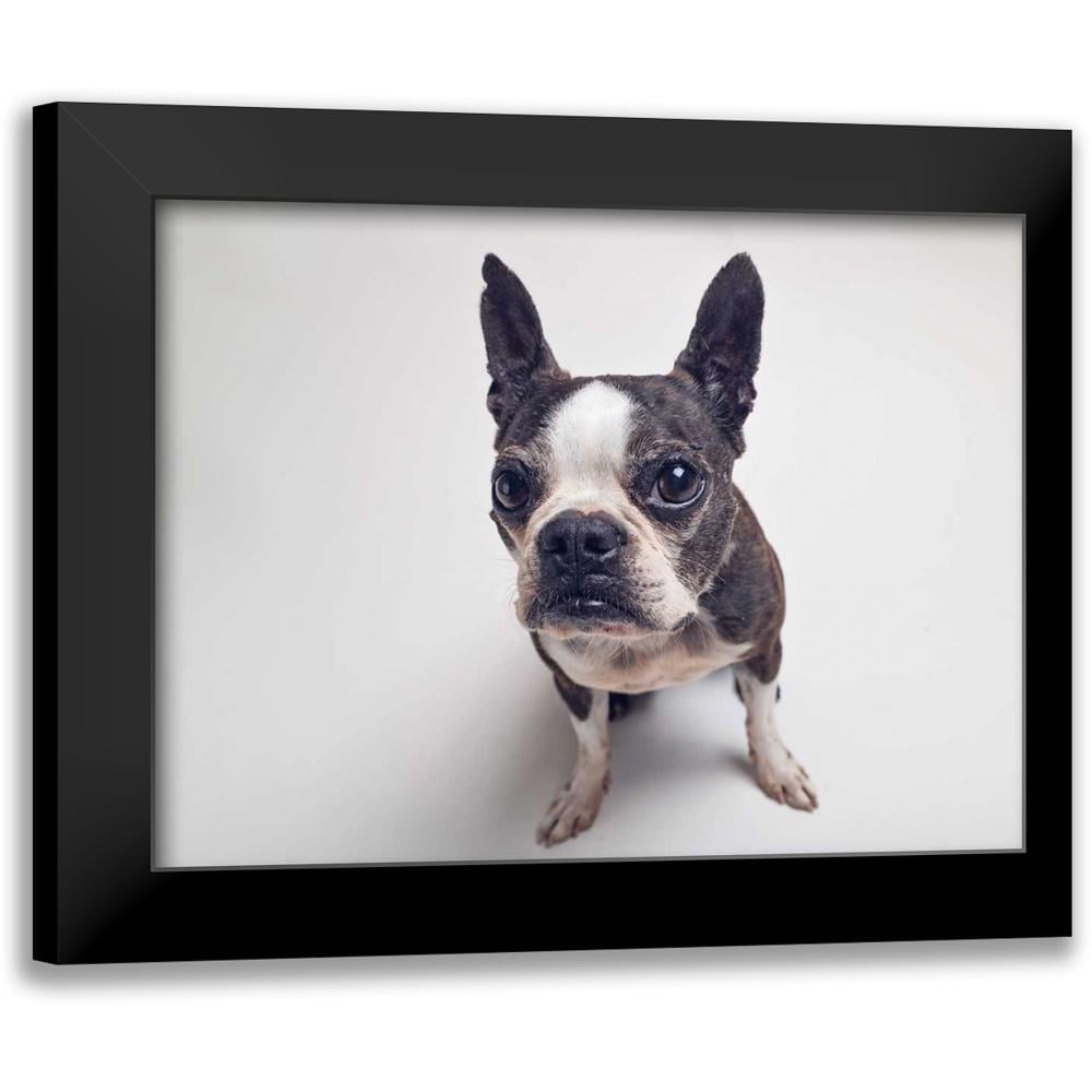 Sabo, Susan 14x12 Black Modern Framed Museum Art Print Titled - Norton ...