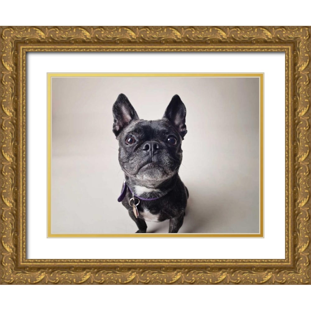 Sabo, Susan 14x12 Gold Ornate Wood Framed with Double Matting Museum ...