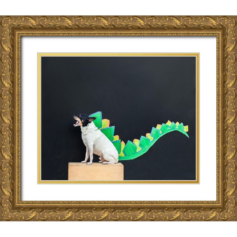 Sabo, Susan 14x12 Gold Ornate Wood Framed with Double Matting Museum ...