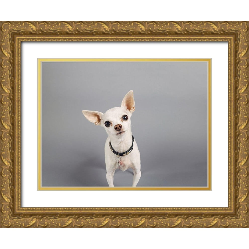 Sabo, Susan 14x12 Gold Ornate Wood Framed with Double Matting Museum ...