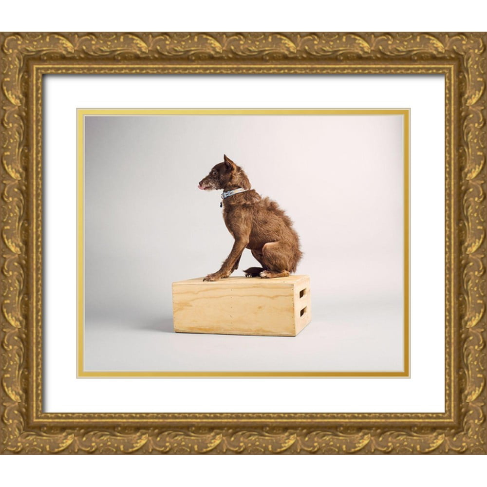 Sabo, Susan 14x12 Gold Ornate Wood Framed with Double Matting Museum ...
