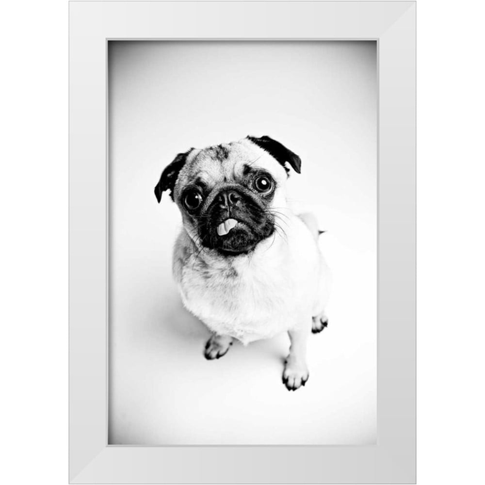 Sabo, Susan 17x24 White Modern Wood Framed Museum Art Print Titled ...