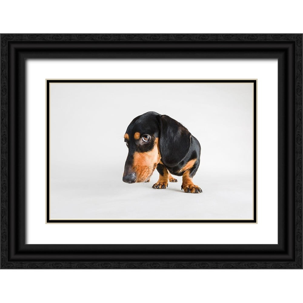 Sabo, Susan 18x13 Black Ornate Wood Framed with Double Matting Museum ...
