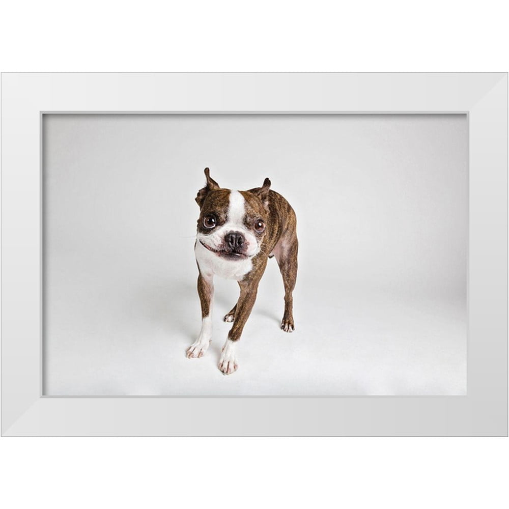 Sabo, Susan 18x13 White Modern Wood Framed Museum Art Print Titled ...