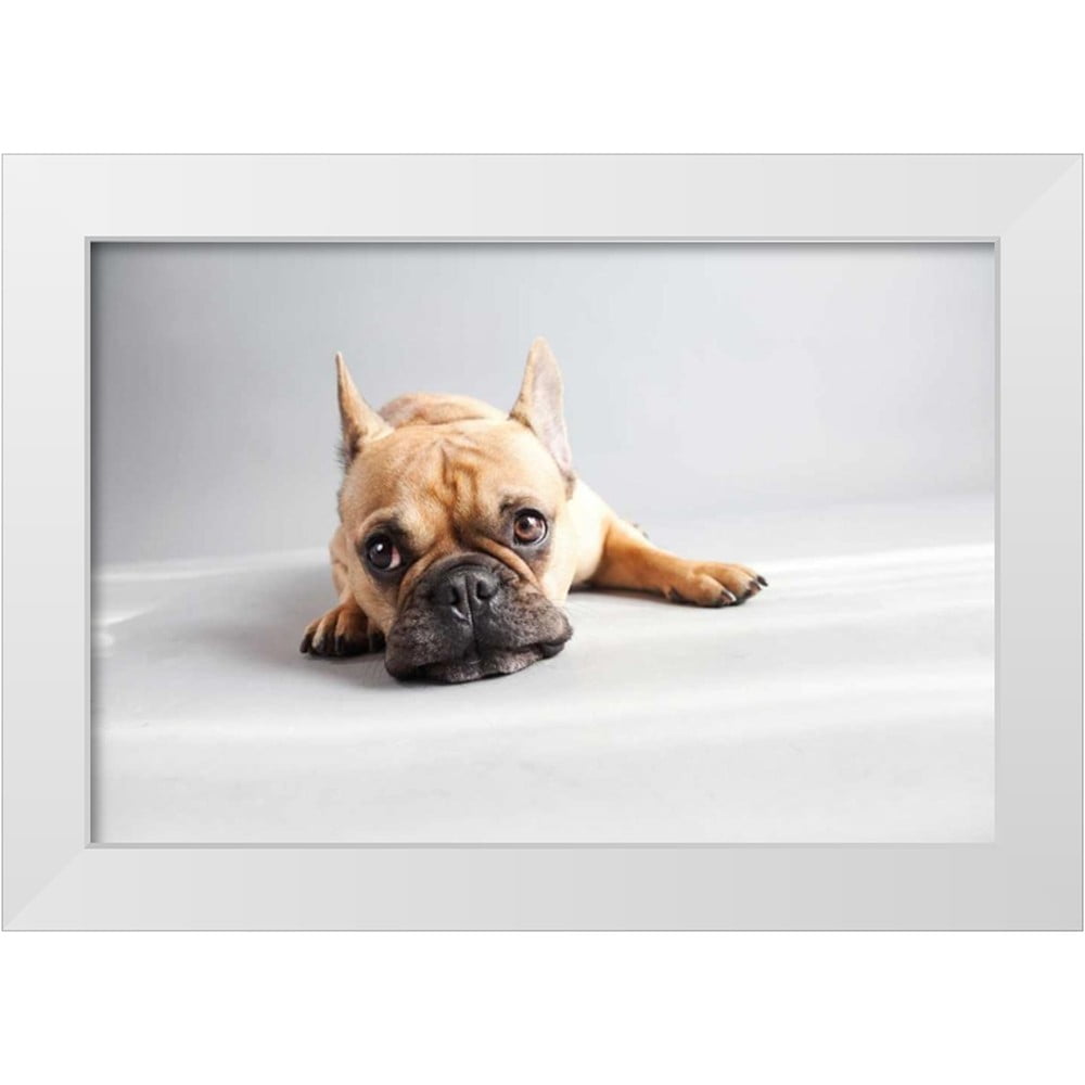 Sabo, Susan 18x13 White Modern Wood Framed Museum Art Print Titled ...