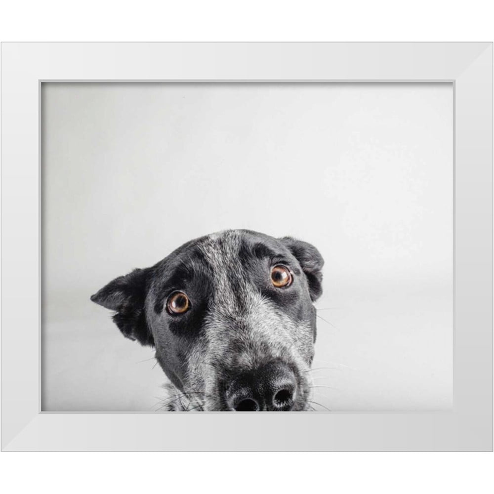 Sabo, Susan 18x15 White Modern Wood Framed Museum Art Print Titled ...