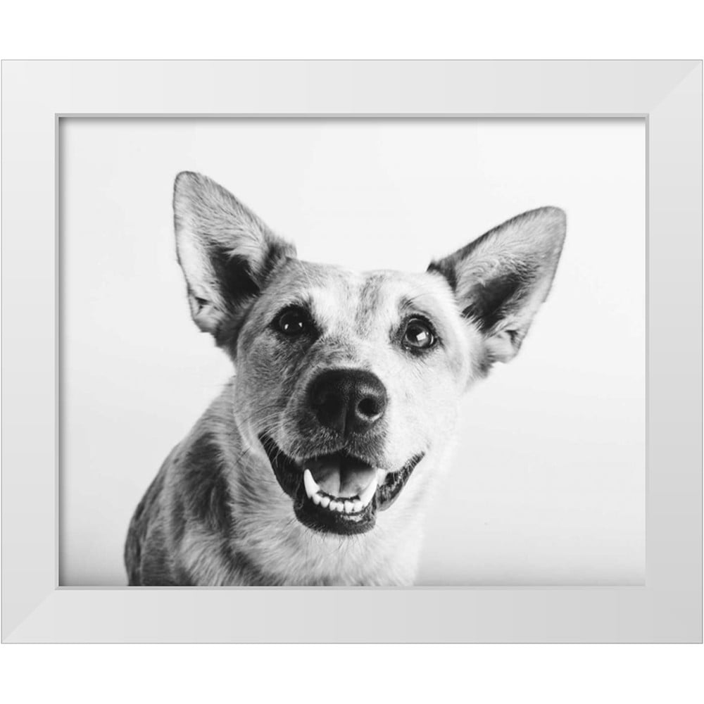 Sabo, Susan 18x15 White Modern Wood Framed Museum Art Print Titled ...