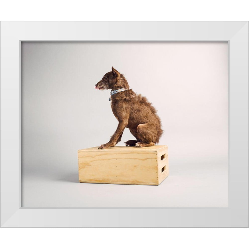 Sabo, Susan 18x15 White Modern Wood Framed Museum Art Print Titled ...