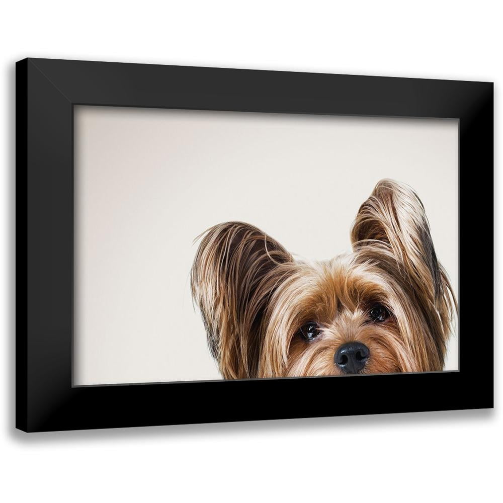 Sabo, Susan 24x17 Black Modern Framed Museum Art Print Titled - Jeri ...