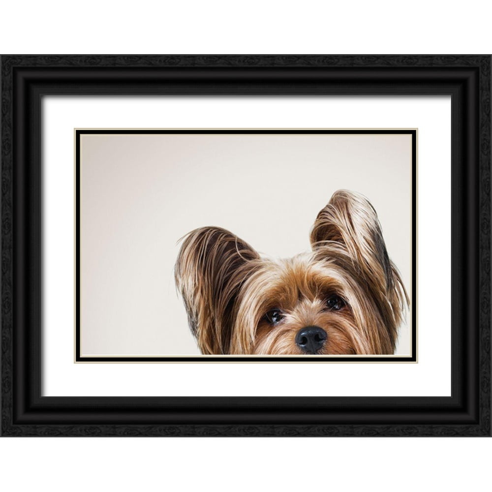 Sabo, Susan 24x17 Black Ornate Wood Framed with Double Matting Museum ...