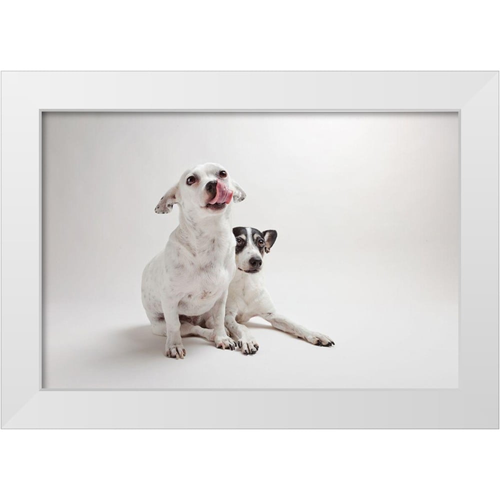 Sabo, Susan 24x17 White Modern Wood Framed Museum Art Print Titled ...