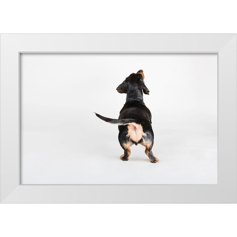 Sabo, Susan 24x17 White Modern Wood Framed Museum Art Print Titled ...