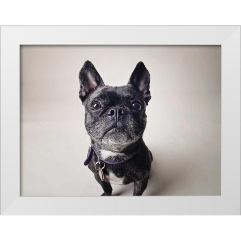 Sabo, Susan 24x19 White Modern Wood Framed Museum Art Print Titled ...