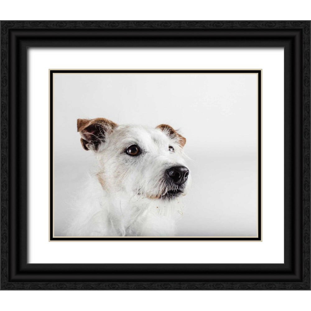 Sabo, Susan 24x20 Black Ornate Wood Framed with Double Matting Museum ...