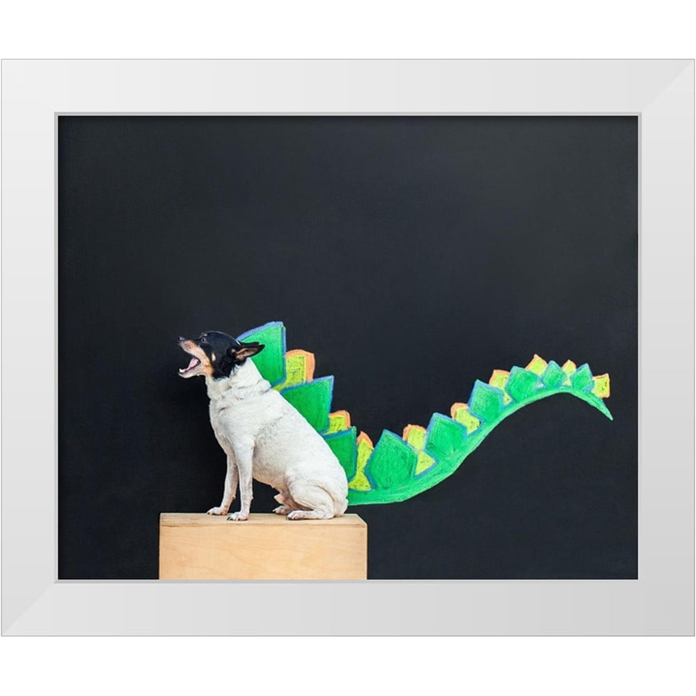 Sabo, Susan 24x20 White Modern Wood Framed Museum Art Print Titled ...