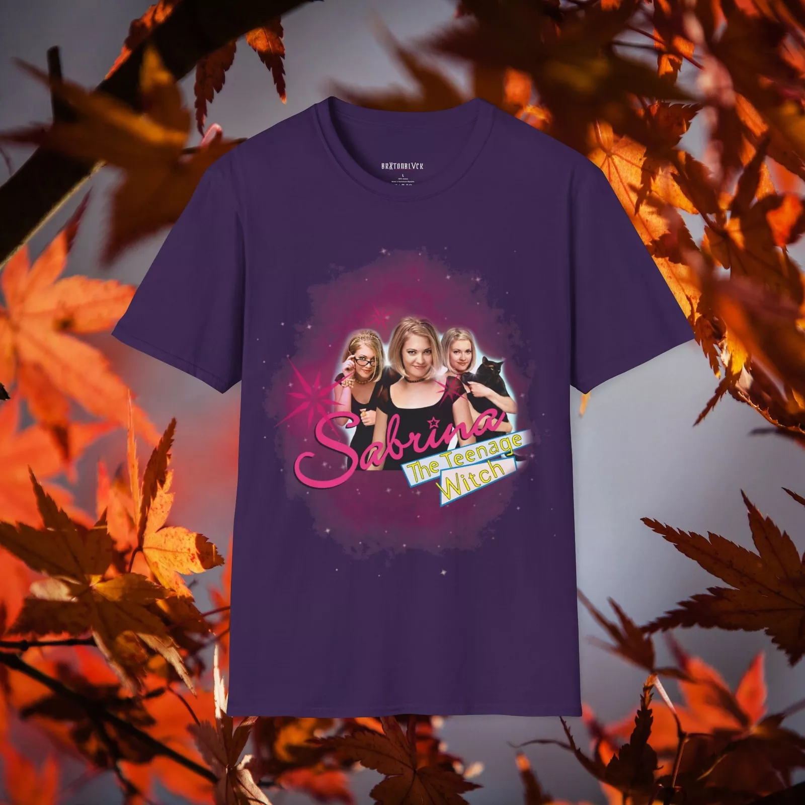 Sabrina The Teenage Witch - 90s Kid - Salem Saberhagen - Pop Culture 90s Kid Tshirt, L - Walmart.com