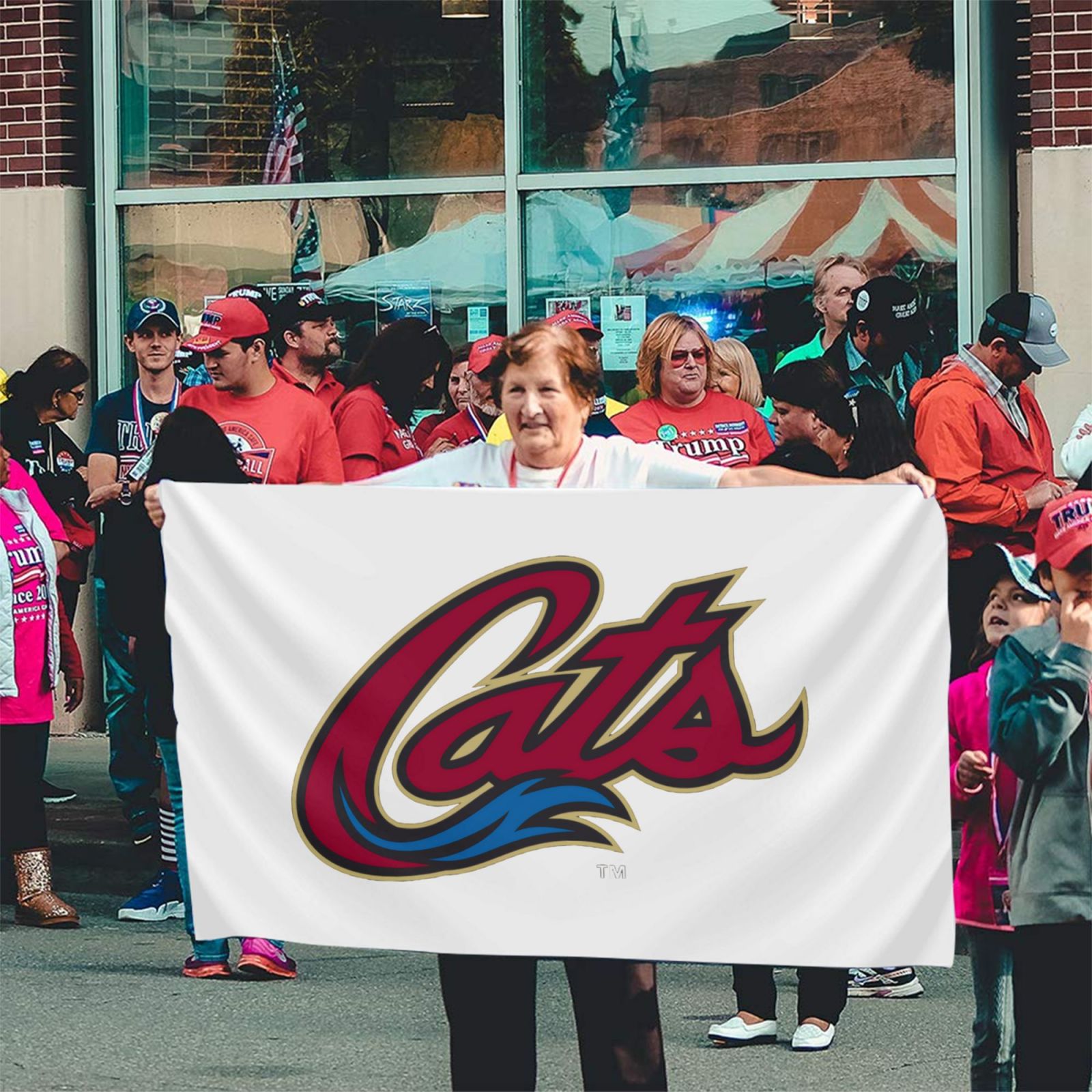 Sacramento River Cats Flag 3x5 Outdoor ,Sewn Stripes, Stronger Brass ...