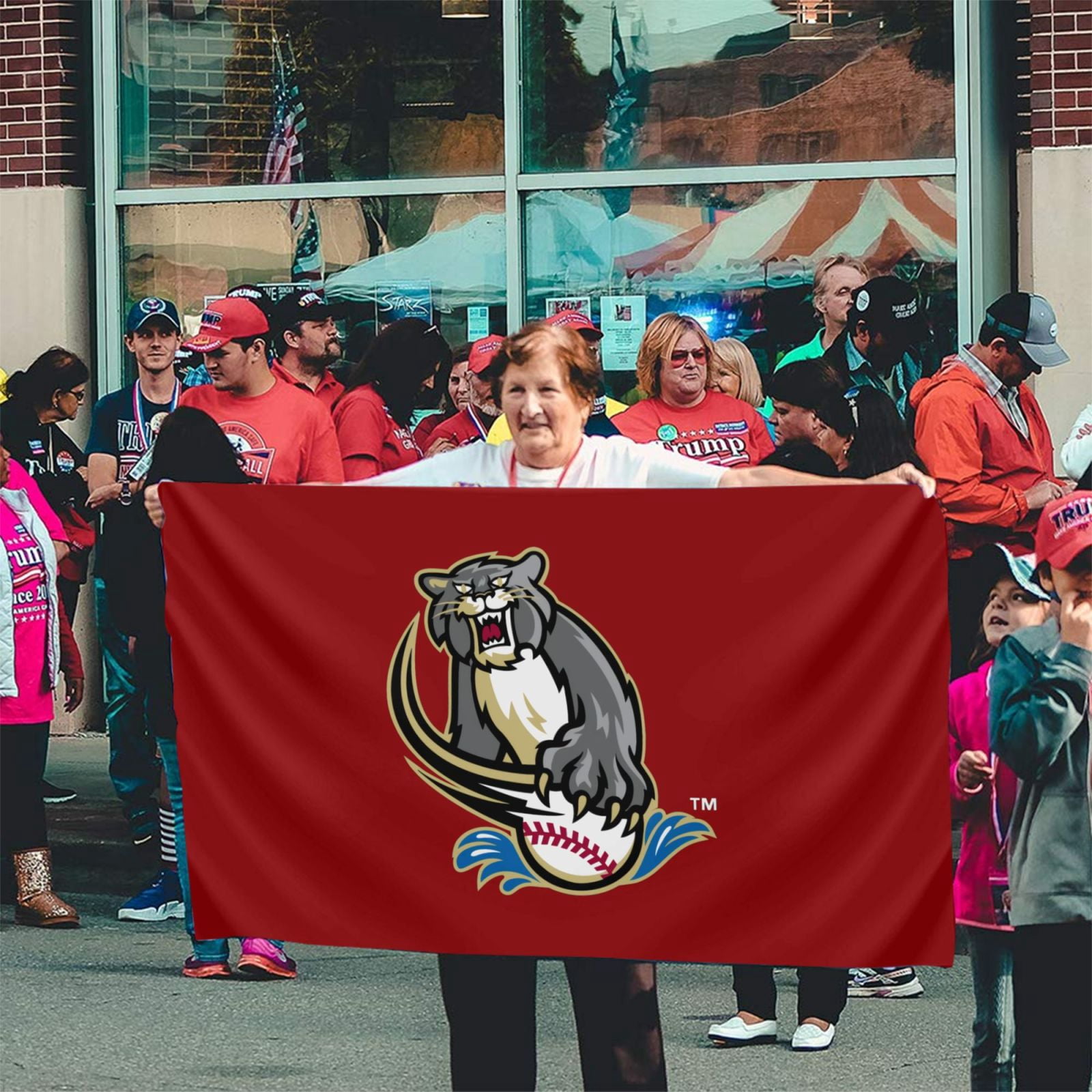 Sacramento River Cats Logo Flag 3x5 Outdoor ,Sewn Stripes, Stronger ...