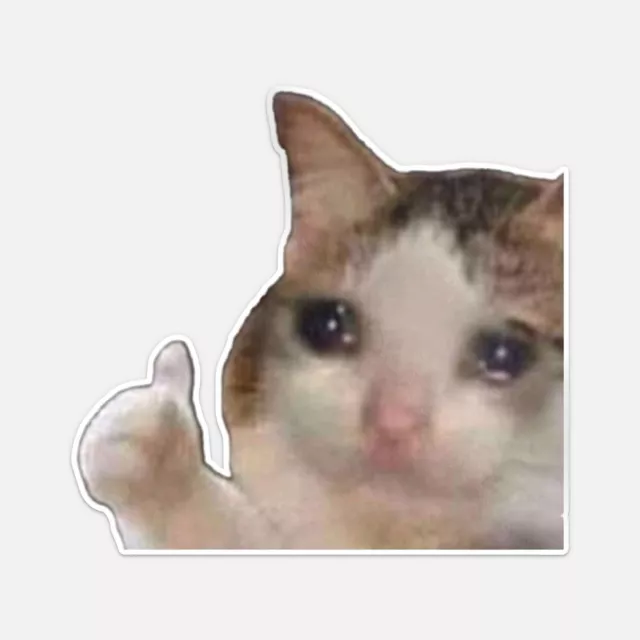 Sad Cat Sticker Phone Decal Water Bottle Stickers Car Decals, Laptop ...