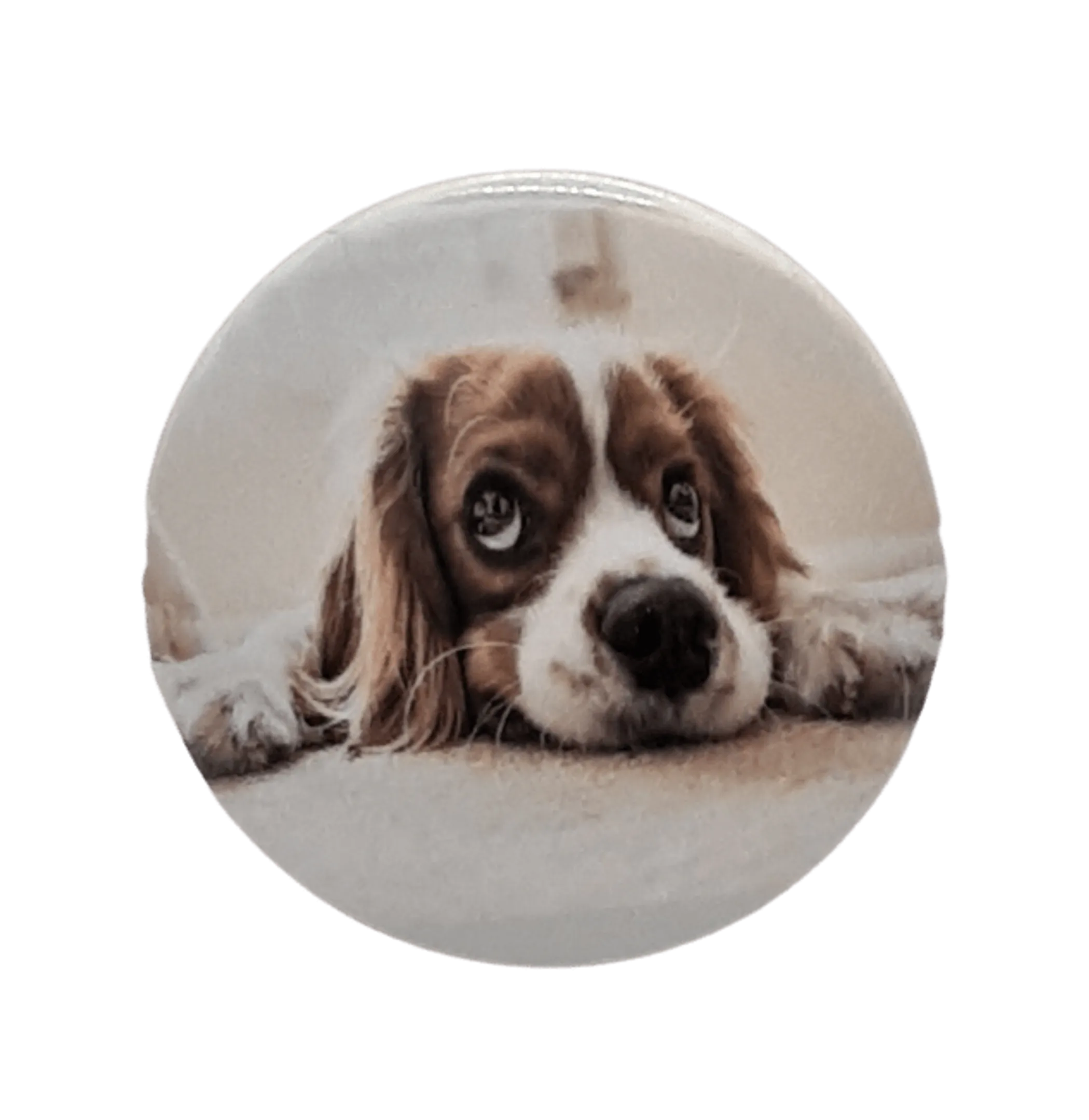 Sad Dog - Walmart.com