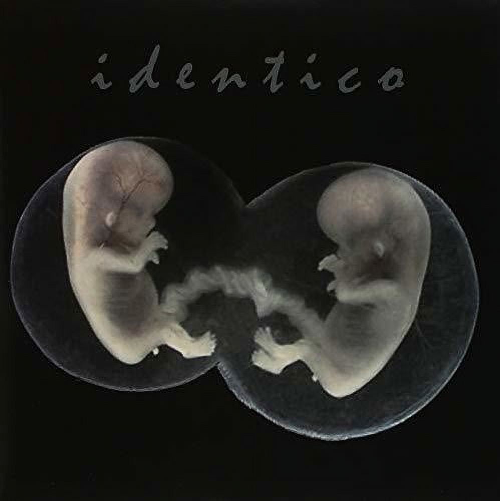 Sad Lovers & Giants - Identico - Music & Performance - Vinyl [7-Inch ...