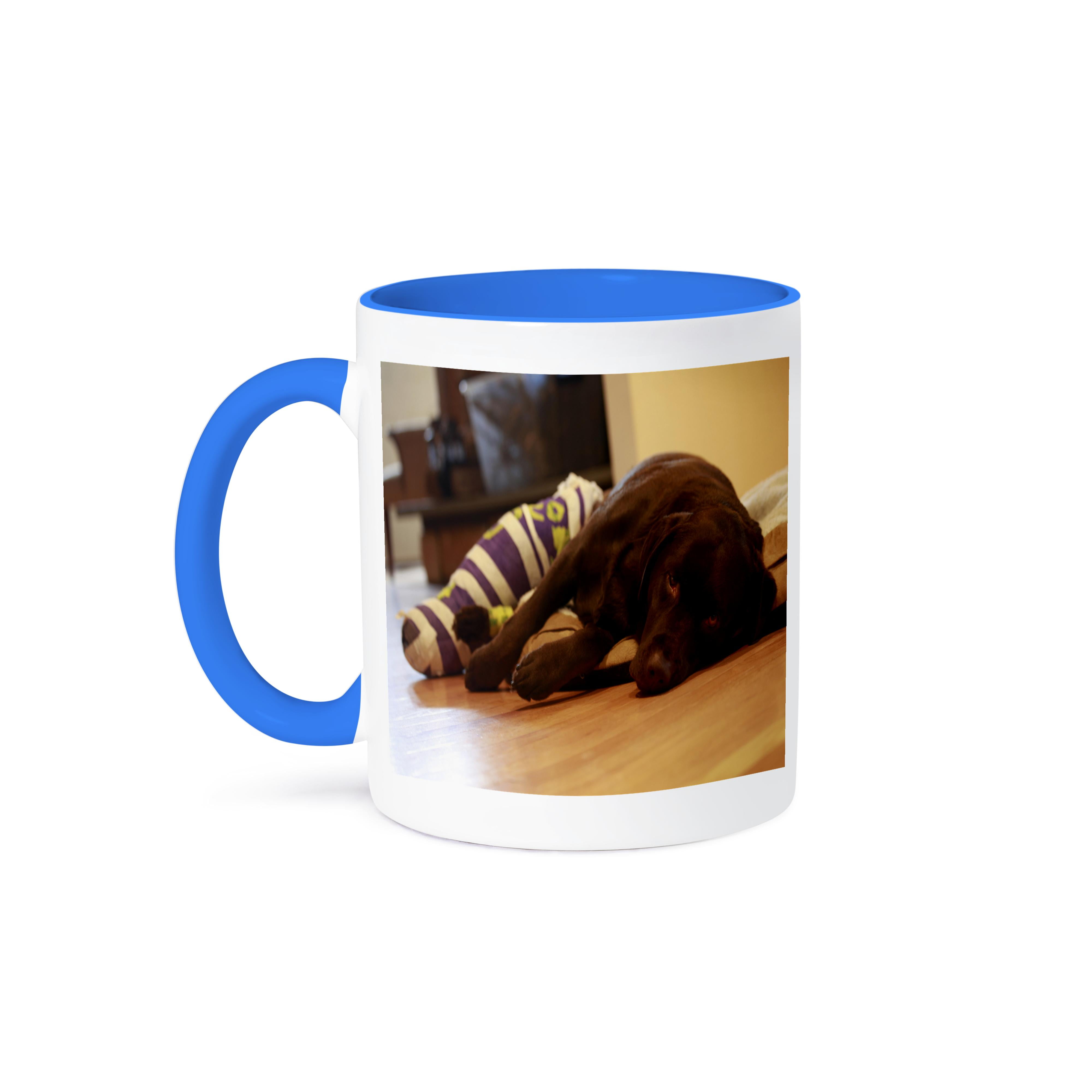 3drose, Sad Puppy Chocolate Lab Retriever Get Well Soon Operation ...