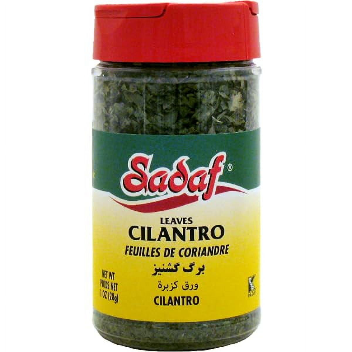 Sadaf Dried Cilantro Leaves CCF19 - Cilantro Leaves for Cooking & Food ...