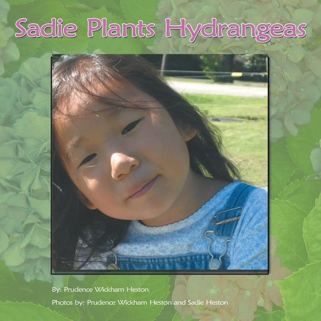 Sadie Plants Hydrangeas - Walmart.com