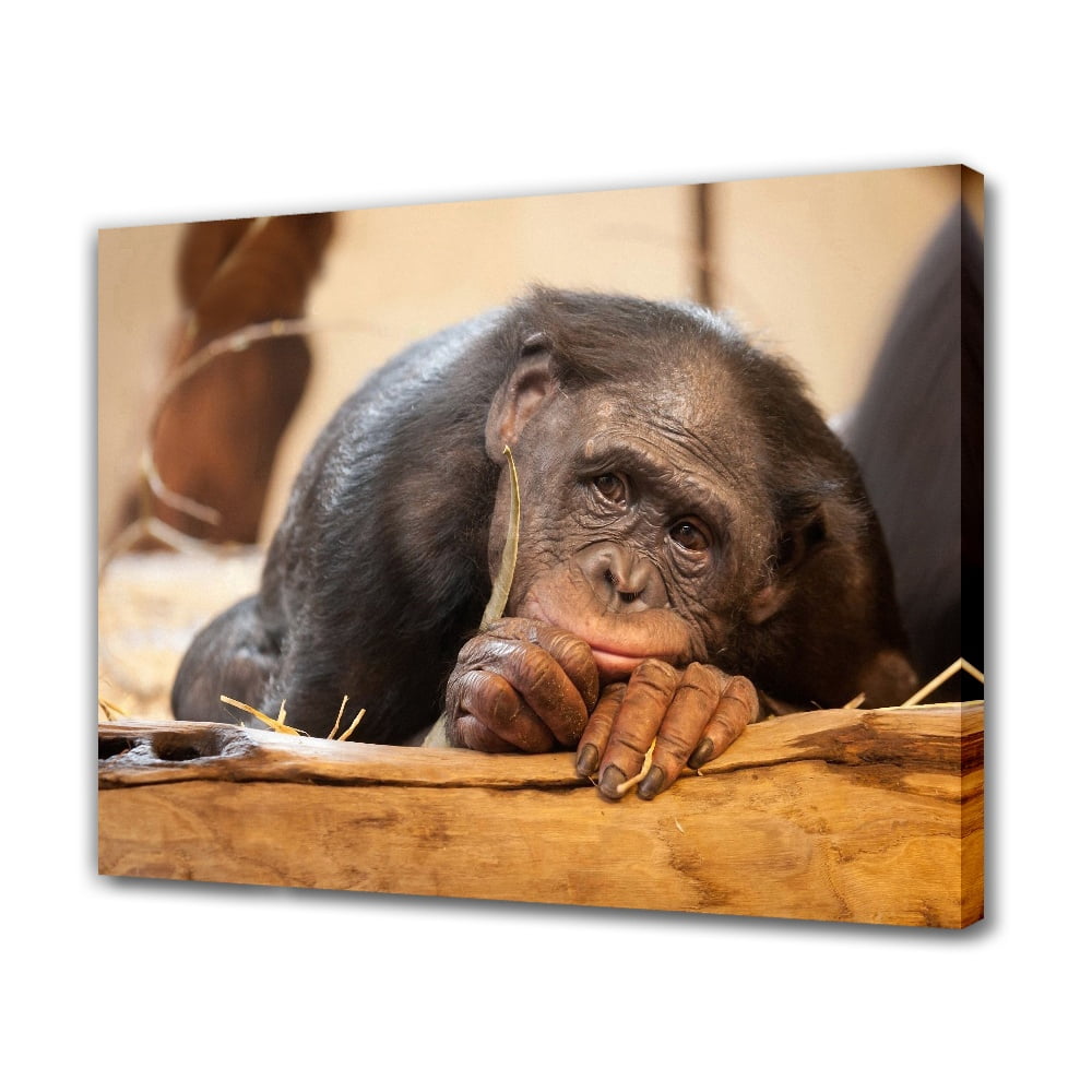 Sadness Monkey Canvas Poster Bedroom Decor Sports Landscape Office Room ...