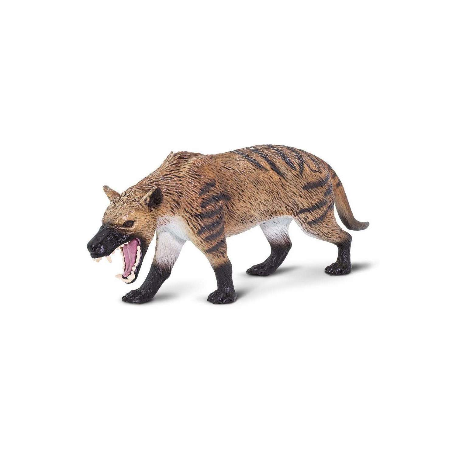 Safari Ltd. Hyaenodon Gigas - Detailed 6.75" Model Figure - Educational ...