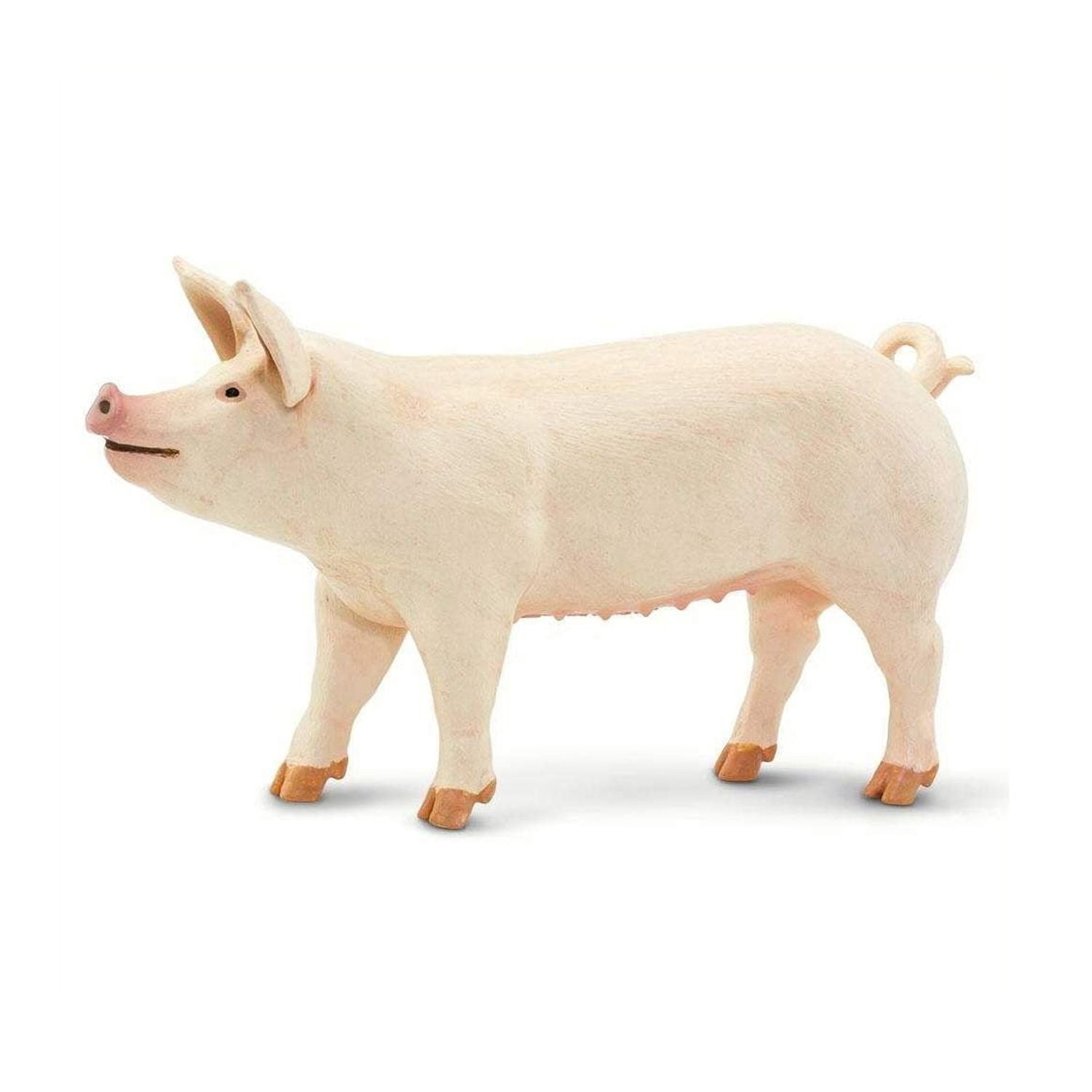 Safari Ltd. Large White Pig - Realistic 4" Farm Animal Figure ...