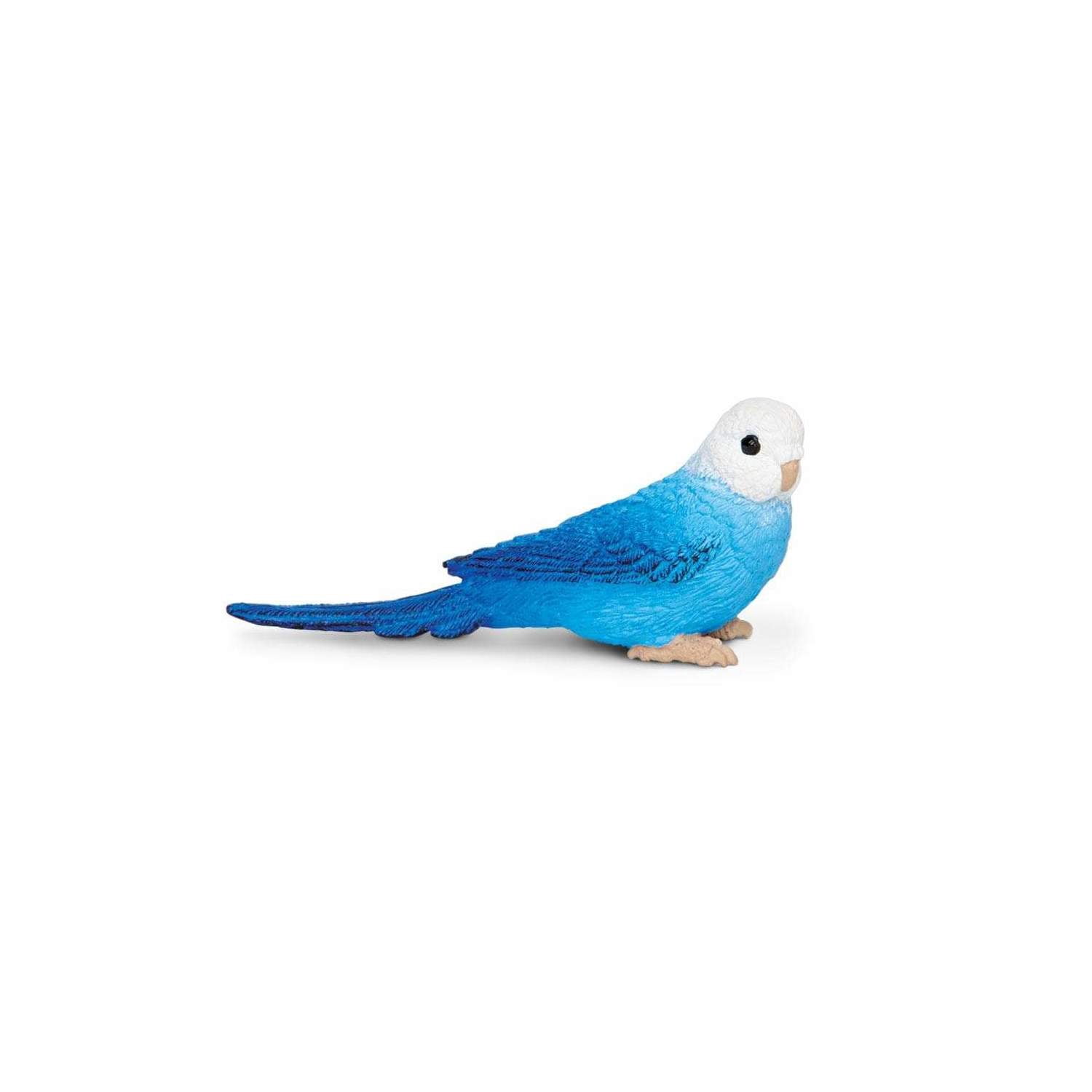 Safari Ltd. Blue Budgie Figurine - Realistic 3