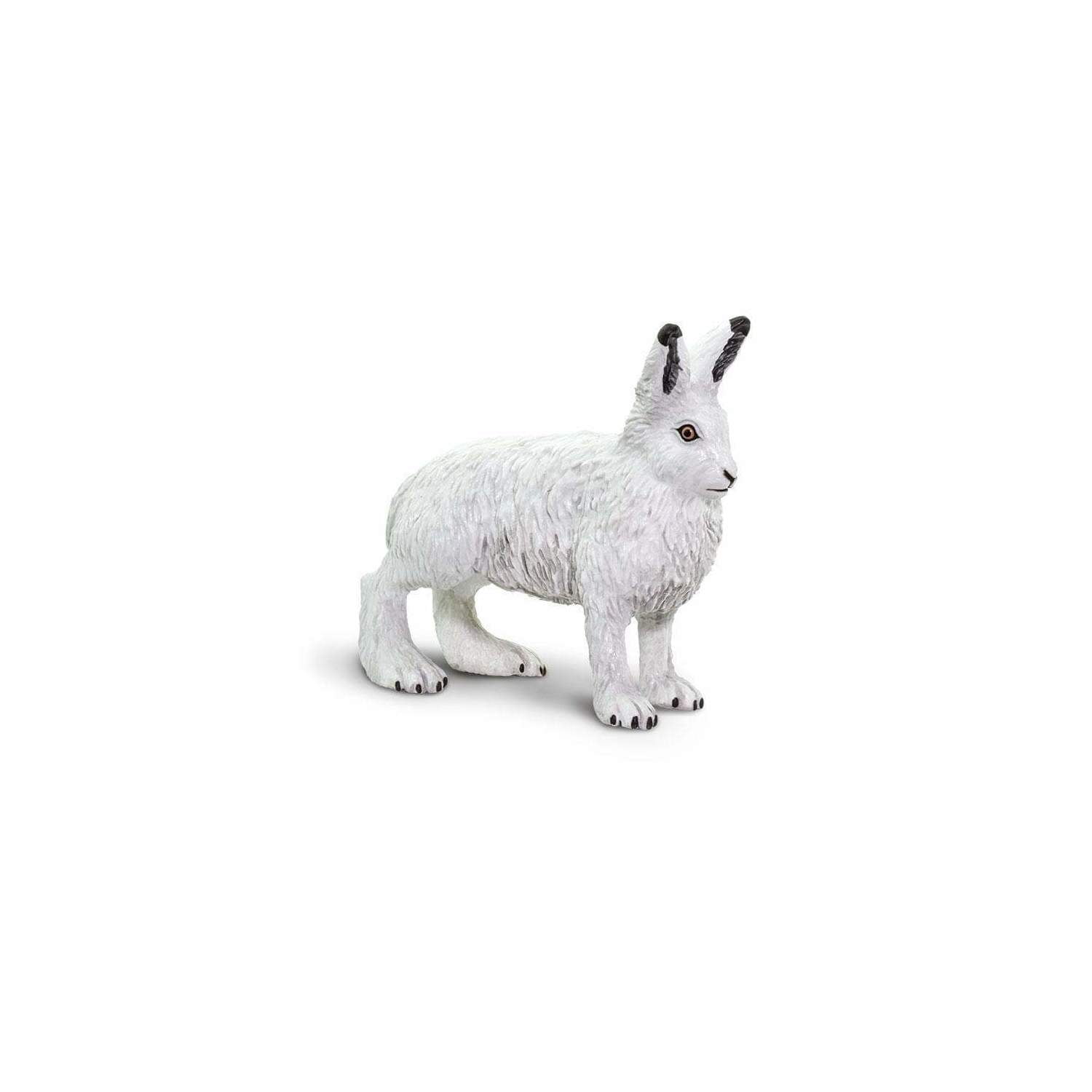 Safari Ltd. Arctic Hare Figurine - Lifelike 2.5" Model Figure ...