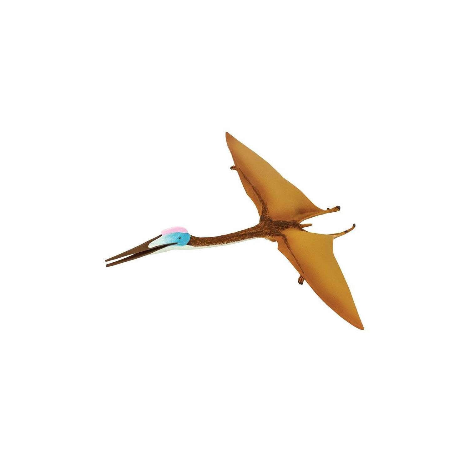 Safari Ltd. Quetzalcoatlus Figurine - Detailed 8.75" Wingspan Pterosaur ...