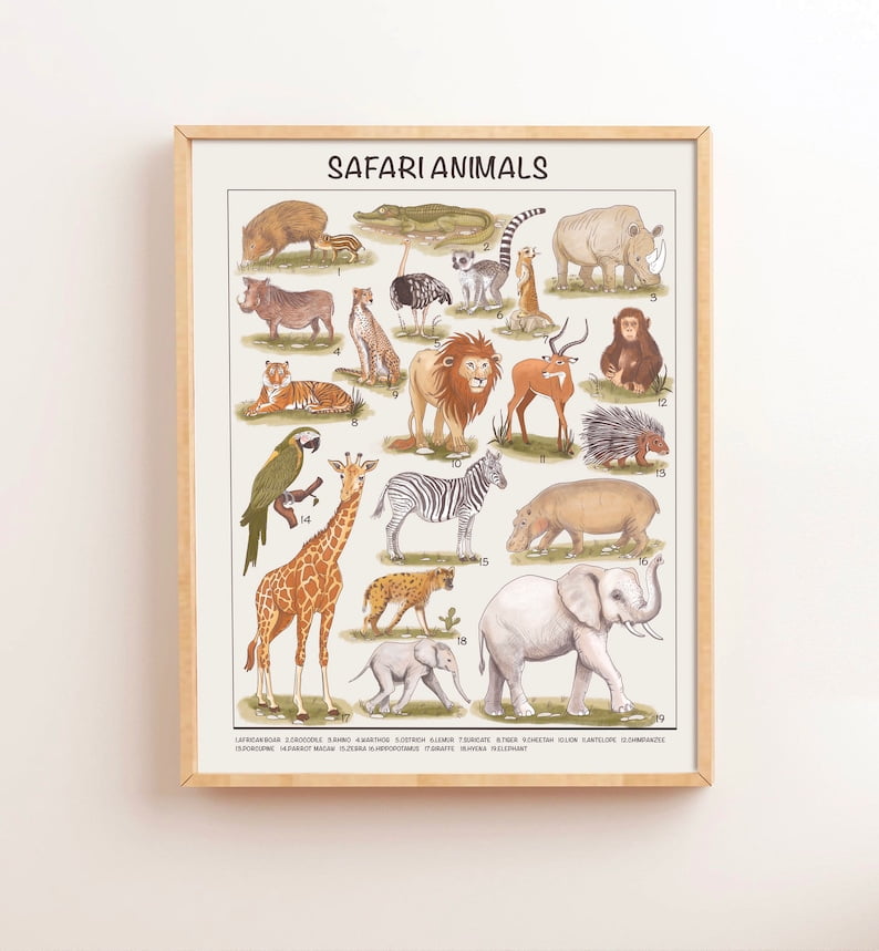 Safari Animals Educational Posters Montessori Preschool Nursery Kids ...