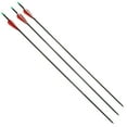 Safari Choice Archery Hunting Carbon/Fiberglass Mix Arrows 30" (3 Pack ...