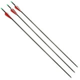 Safari Choice Archery Hunting Carbon/Fiberglass Mix Arrows 30" (3 Pack ...