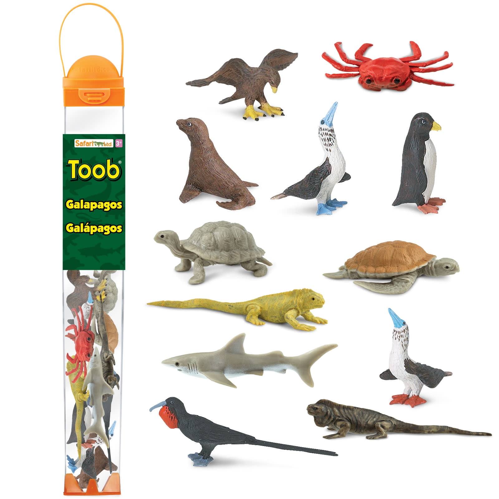Safari Ltd. Galapagos Wildlife TOOB - Figurines of Seal, Blue-Footed ...