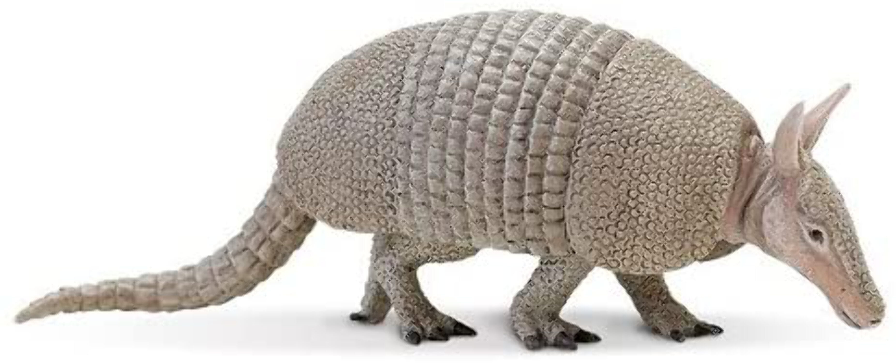 Safari Ltd. | Armadillo | Incredible Creatures | Toy Figurines for Boys ...