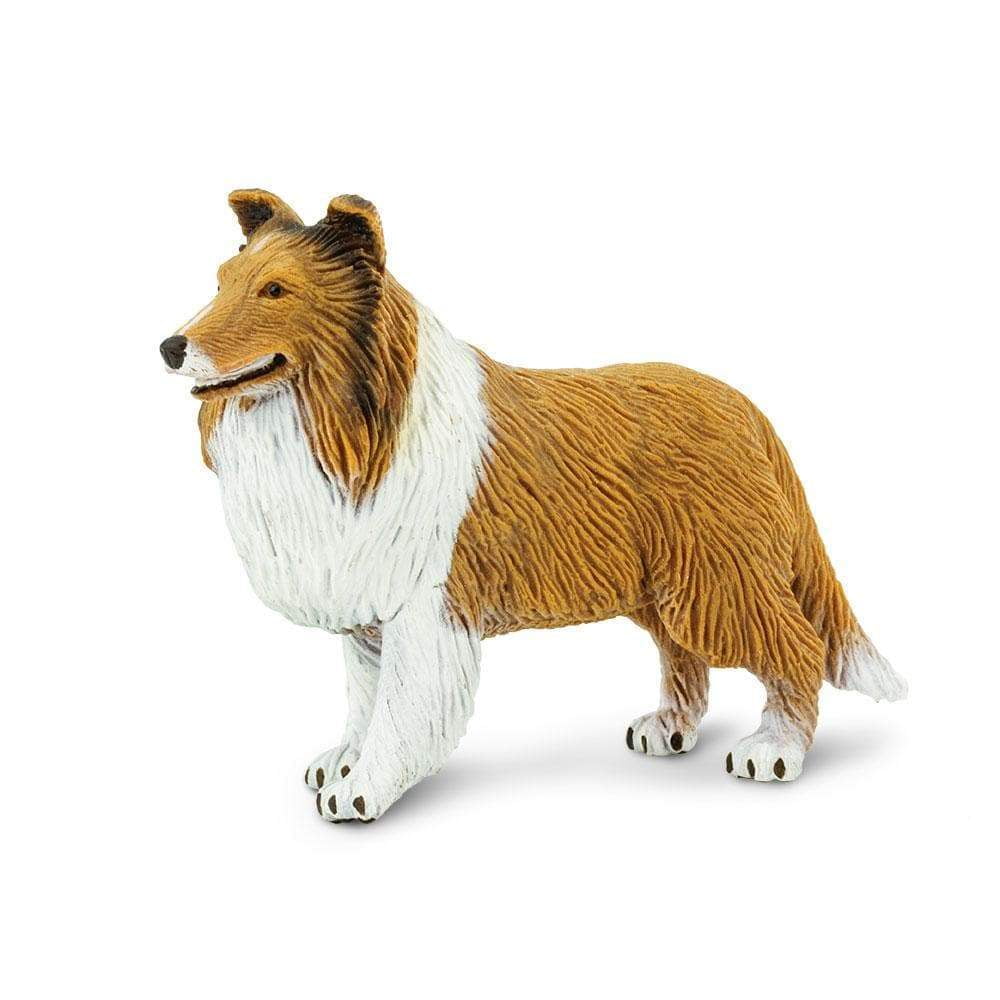 Safari Ltd Best in Show Collie - Walmart.com