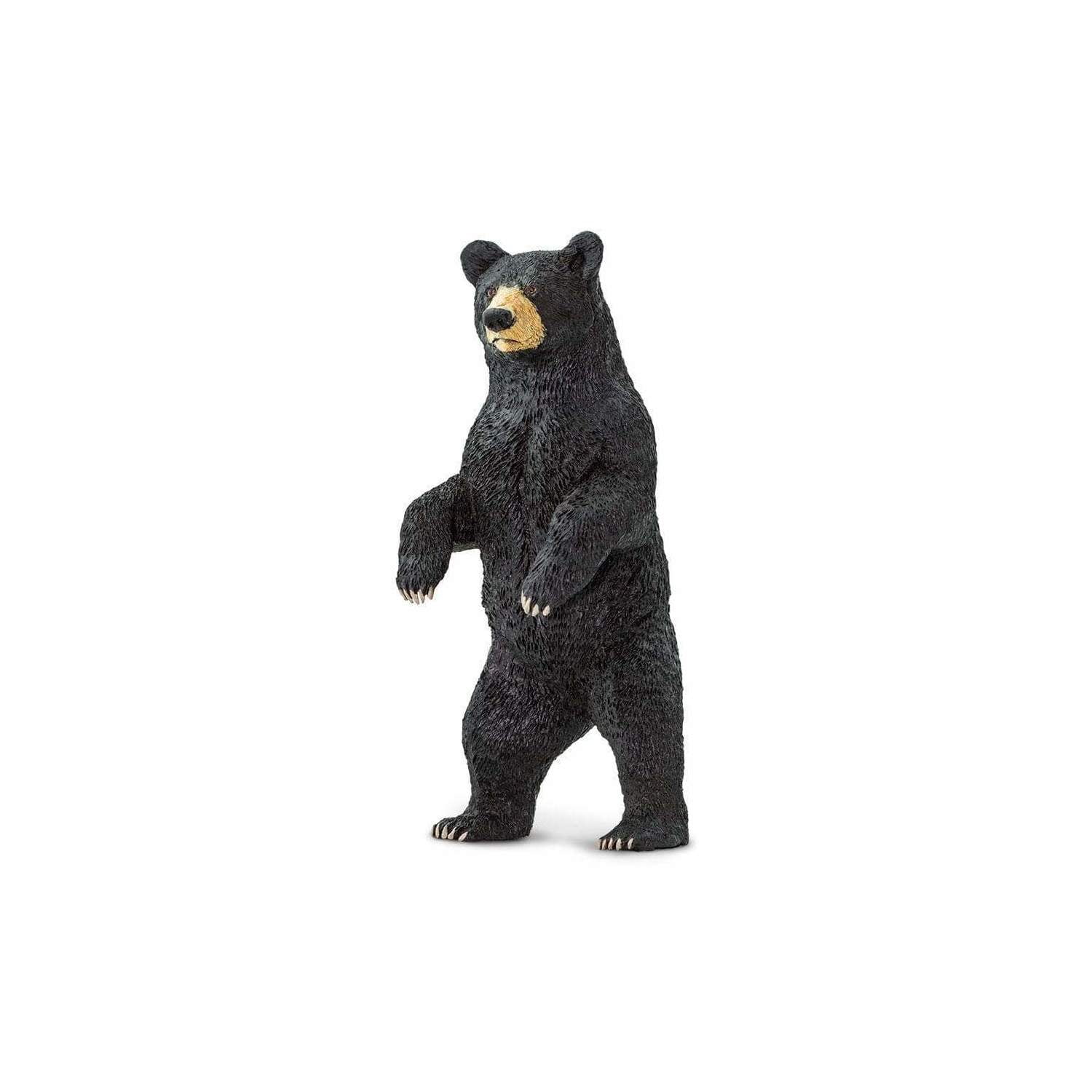 Safari Ltd. Standing Black Bear Figurine - Lifelike 4" Model Figure ...