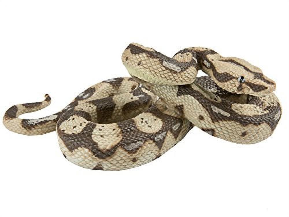 Safari 266529 Boa Constrictor Figurine Multi Color - Walmart.com