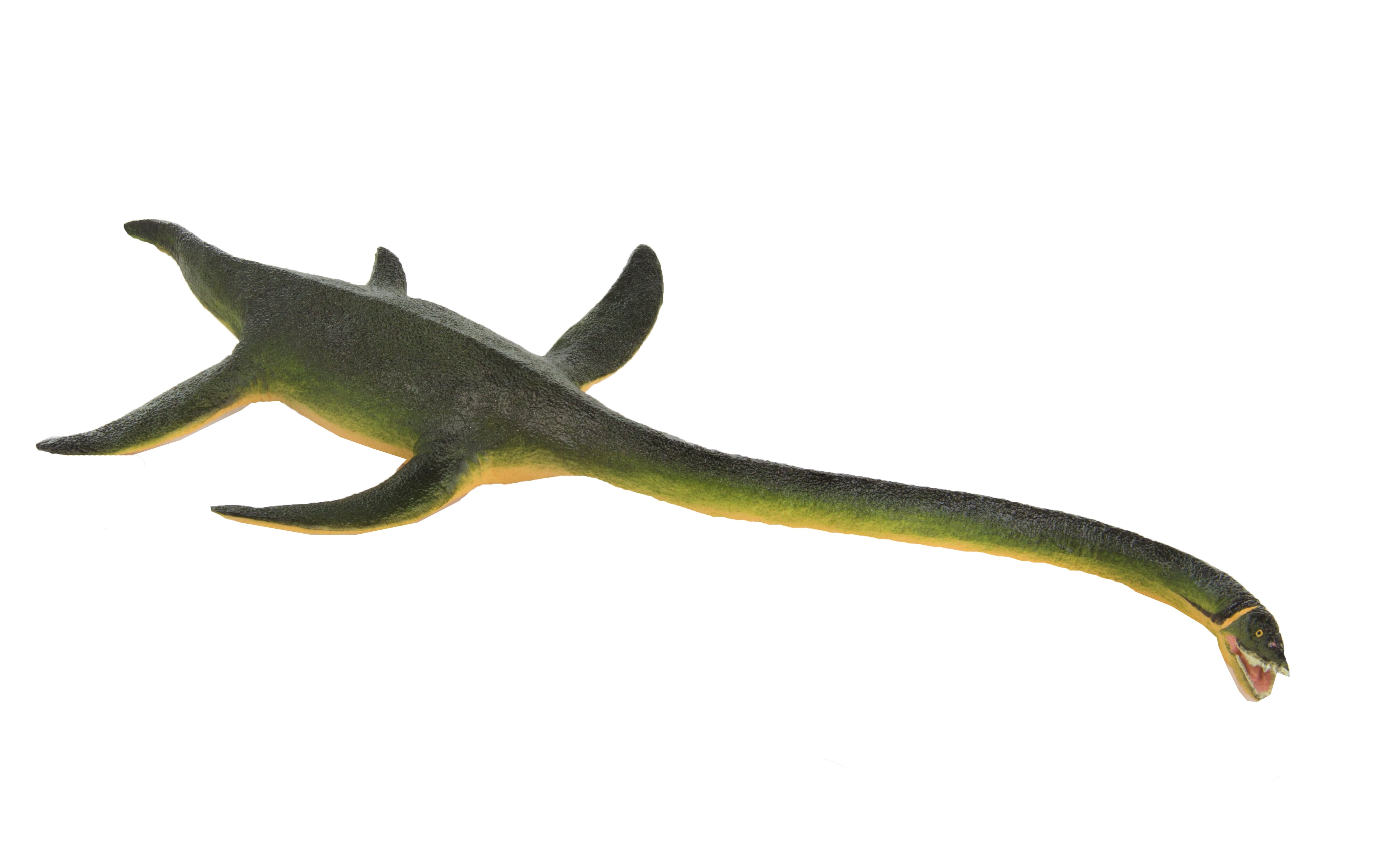 Safari Ltd. | Elasmosaurus | Wild Safari Prehistoric World Collection ...