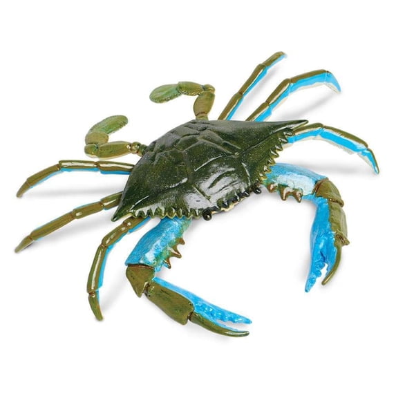 Safari Ltd Incredible Creatures Atlantic Blue Crab, Miniature Marine ...