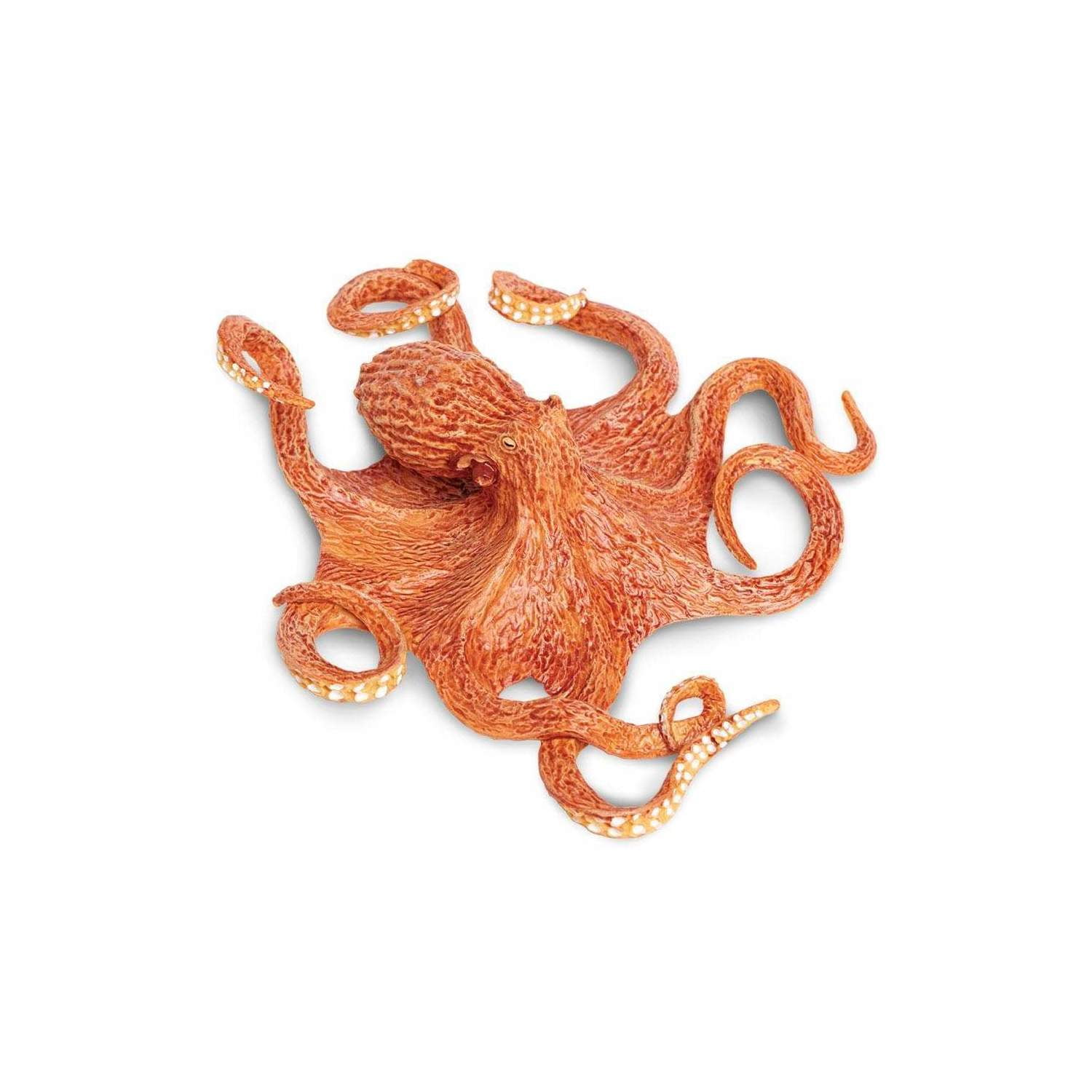 Safari Ltd. Giant Pacific Octopus Figurine - Lifelike 8" Model Figure ...