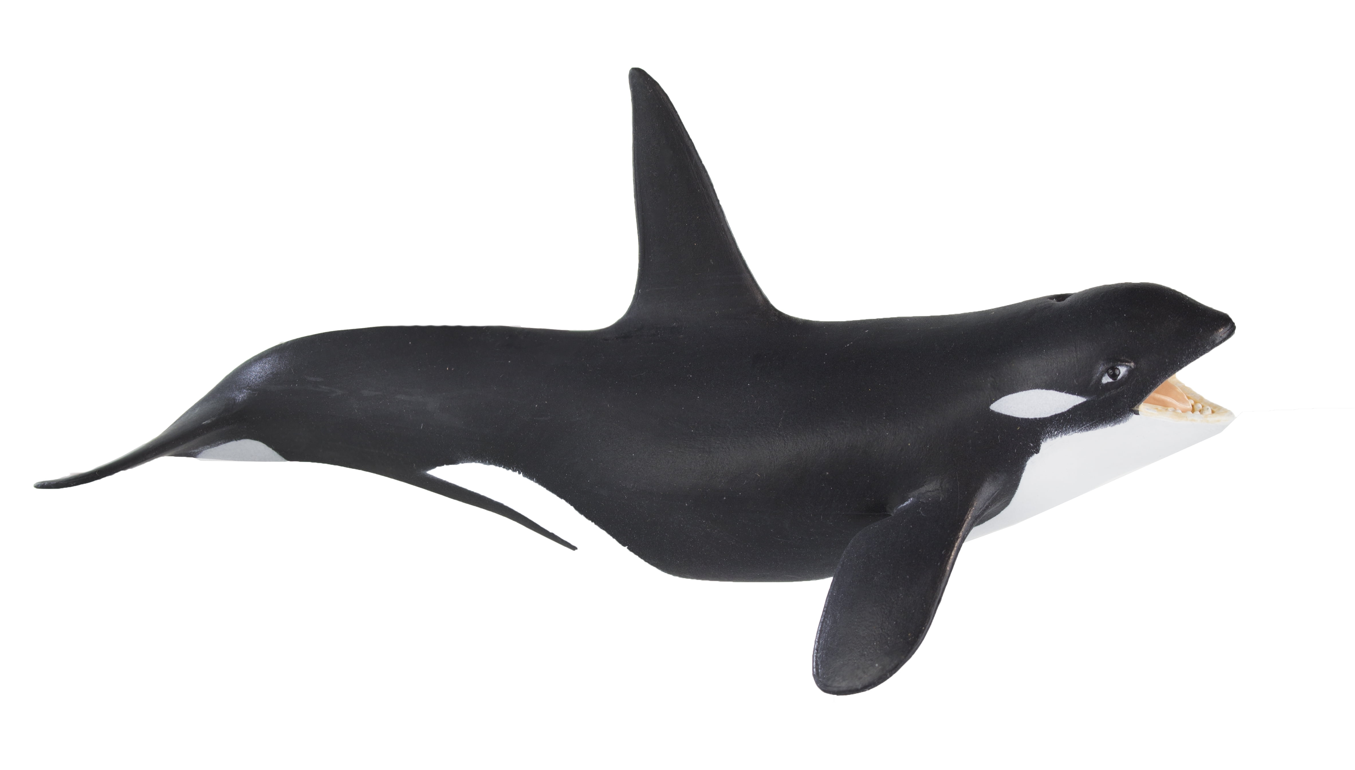 Safari Ltd. | Killer Whale (Orca) | Wild Safari Sea Life Collection ...