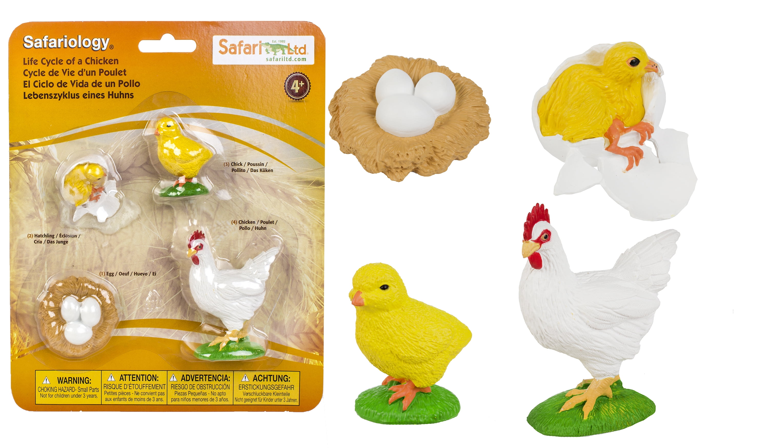 Safari Ltd. | Life Cycle of a Chicken | Safariology Collection | Toy ...