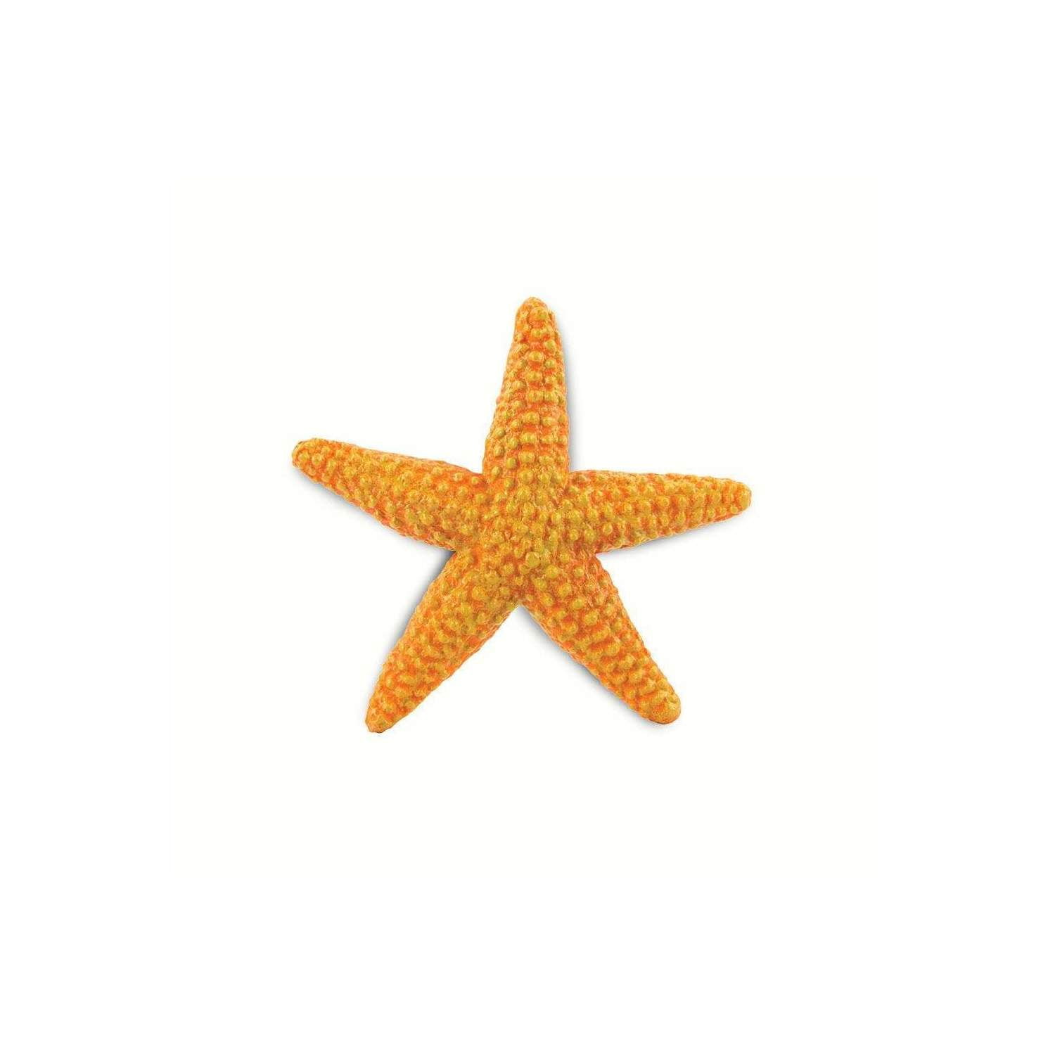 Safari Ltd. Starfish Figurine - Vibrant 4.5" Sea Star Figure ...