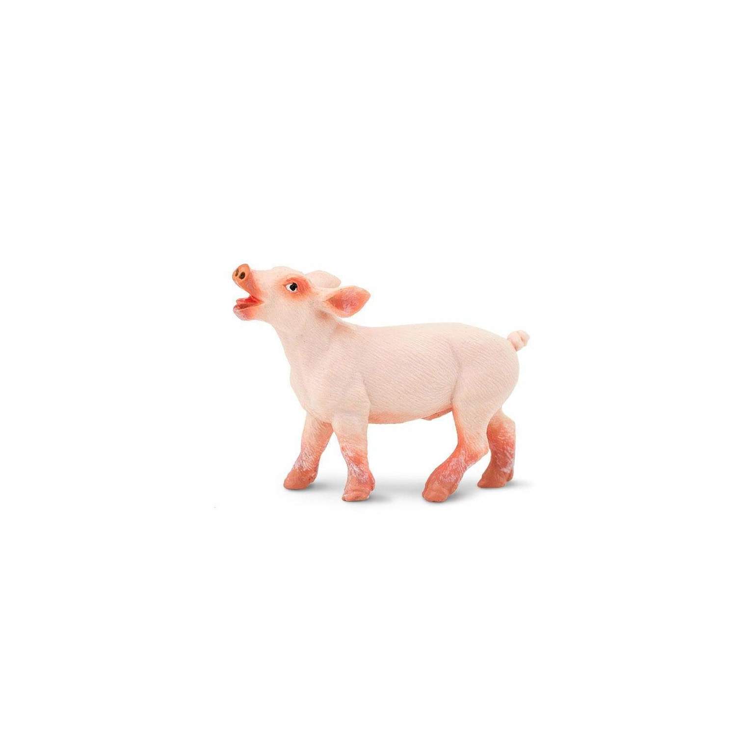 Safari Ltd. Playful Piglet Figurine - Lifelike 2" Model Figure ...